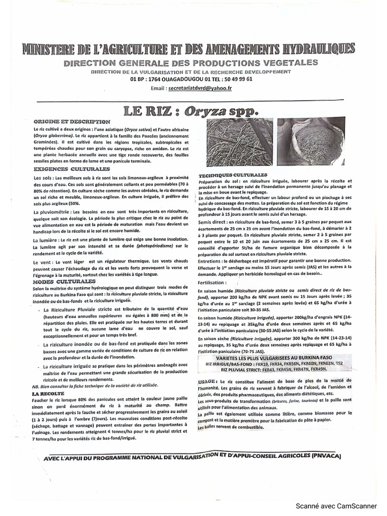Fiche Technique Riz | PDF