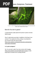 ACG 2024 H. Pylori Treatment Guidelines | PDF | Gram Negative Bacteria ...