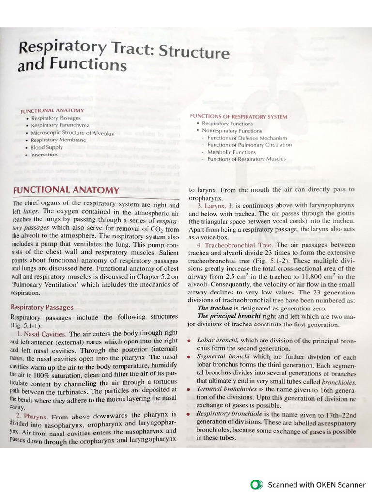 Basic Physiology Of Respiratory System Pdf