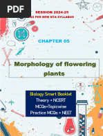 Gumamela: Structure and Reproduction | PDF | Flowers | Pollination
