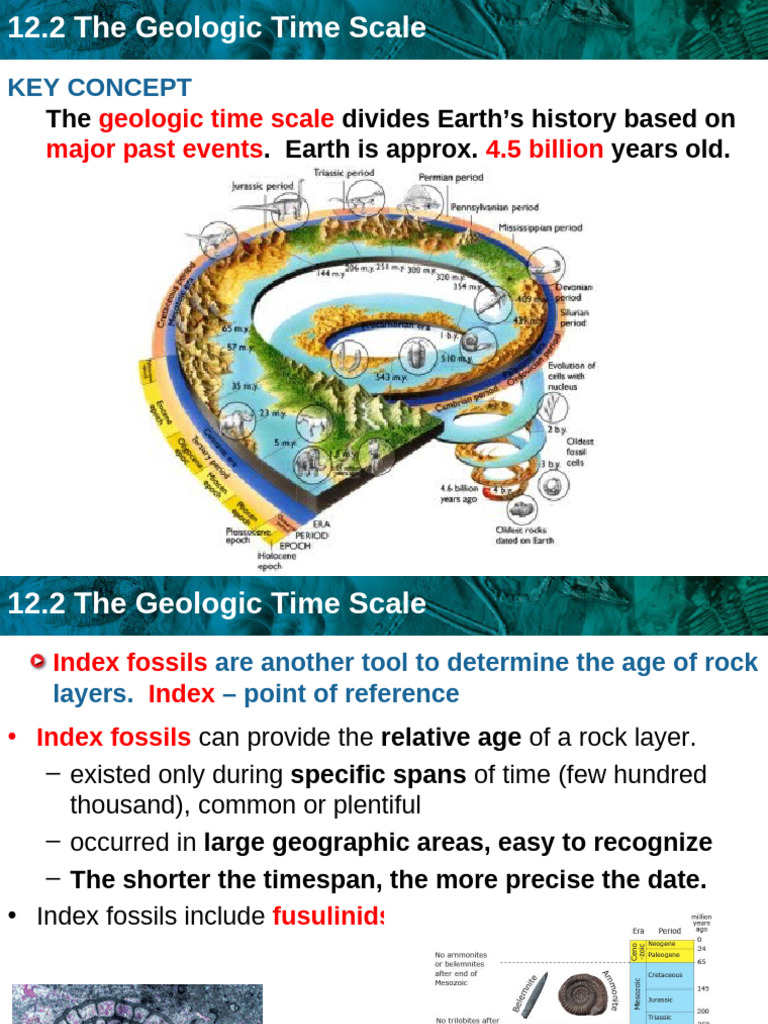 Bio Ch12-2 Geologic Time Scale | PDF