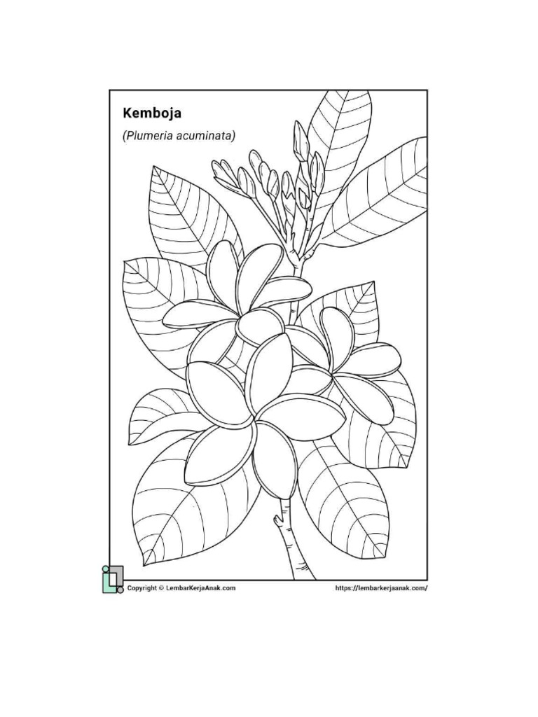 Bunga | PDF