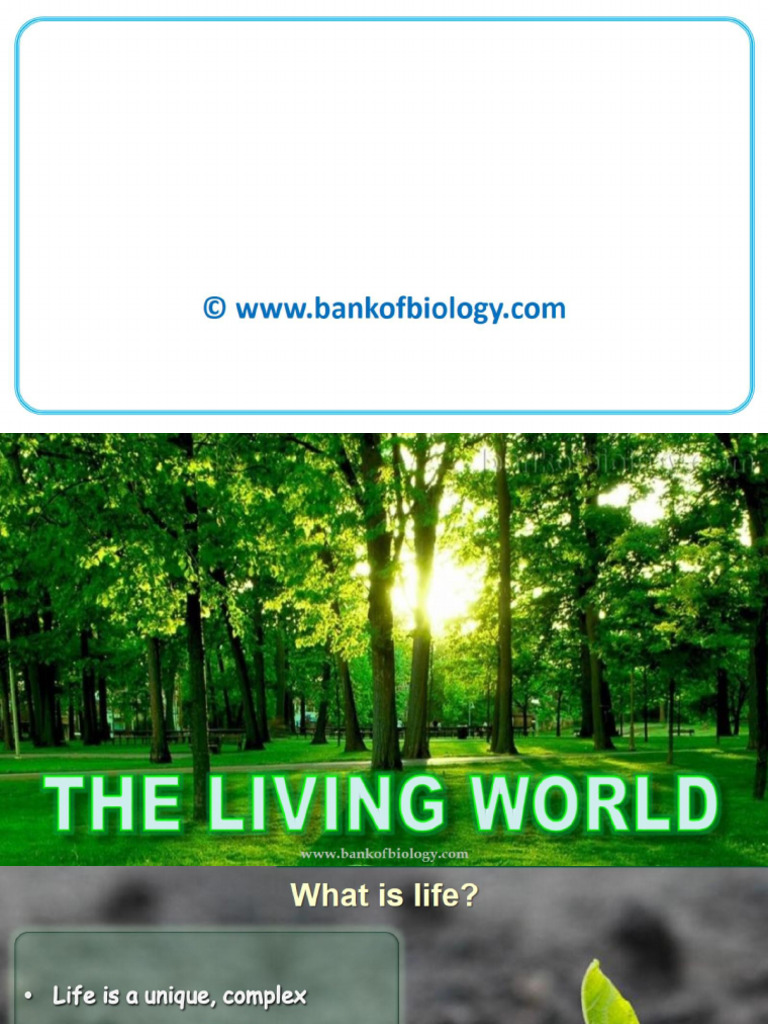 1 Living World | PDF