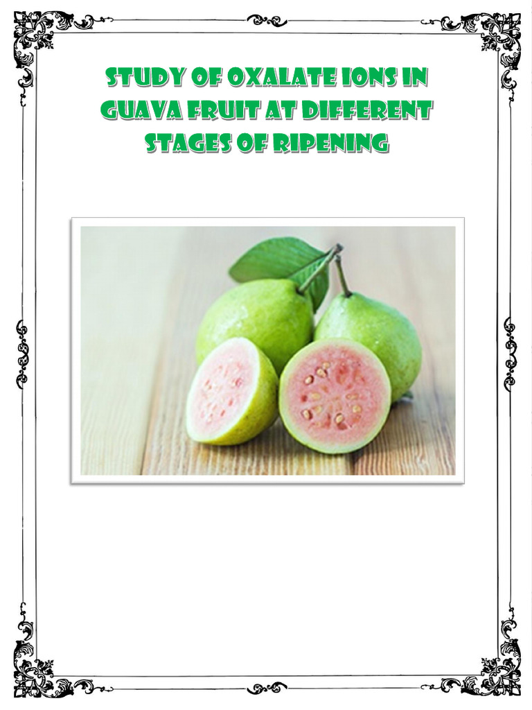 Study of Oxalate Ions in Guava Fruit at Different Stages of Ripening | PDF