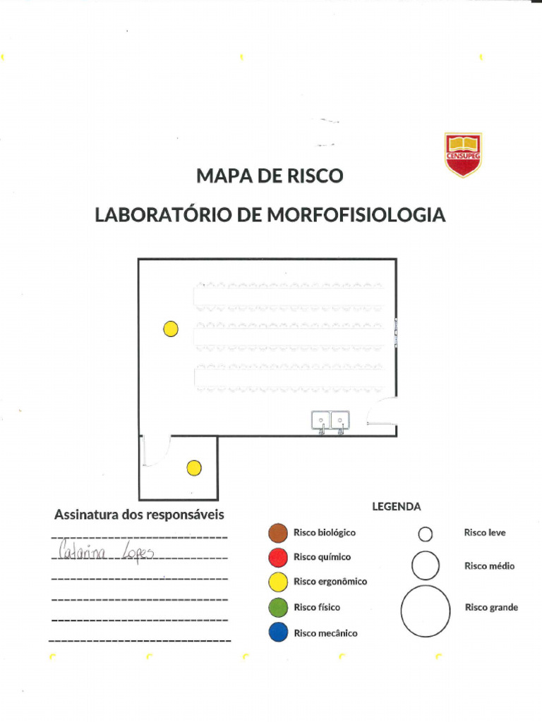 Mapa de Risco - Laboratório de Anatomia e Morfofisiologia | PDF
