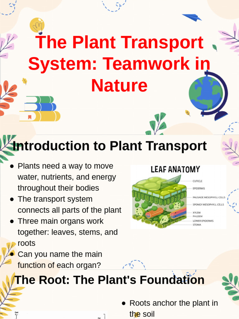 SCIENCE8 Q1 3. Describe How Plant Organs Leaf Stem Roots Work Together As The Transport System ...