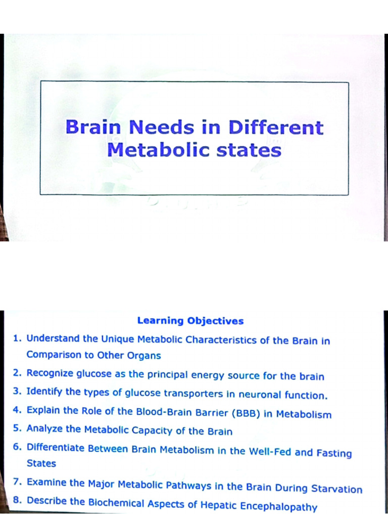 (Biochem-6) Brain Needs in Different Metabolic States | PDF
