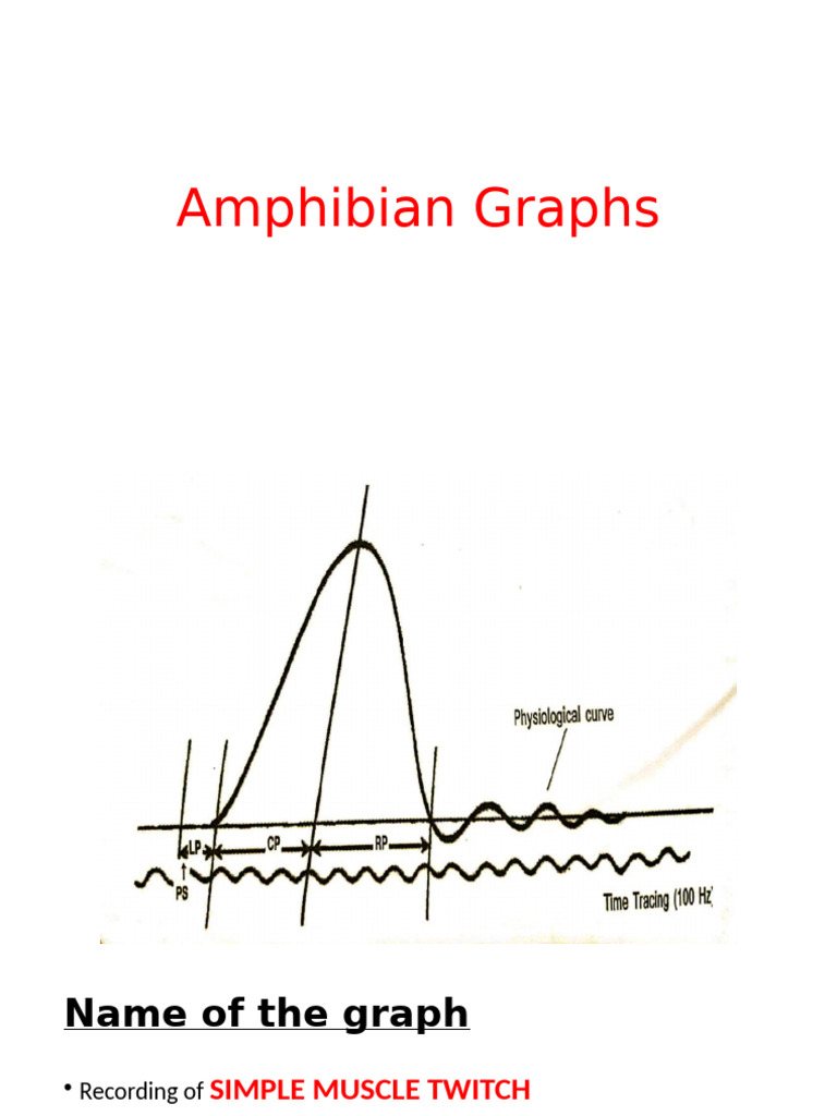 Simple Muscle Twitch in Amphibians | PDF | Muscle Contraction ...