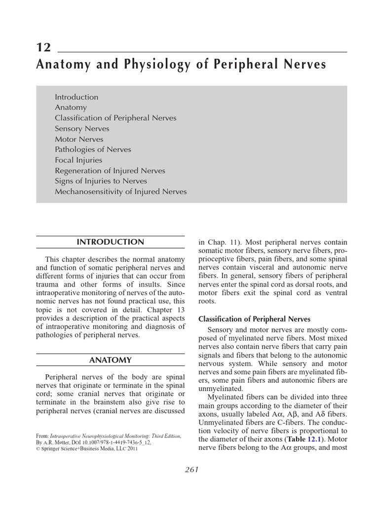 2017 Pathophysiology Nerve Injury 3 | PDF | Nerve | Axon