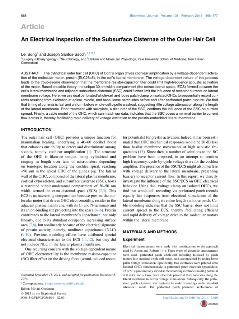 An Electrical Inspection of The Subsurface Cisternae of 2015 ...