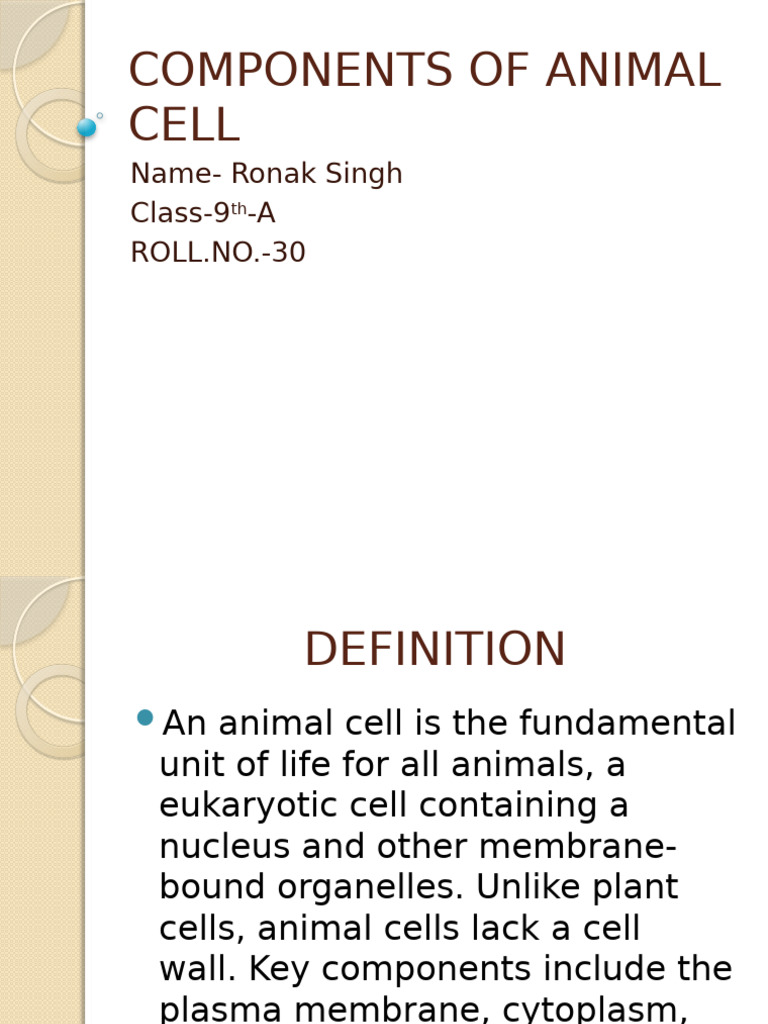 Components of Animal Cell | PDF | Cell (Biology) | Cell Membrane