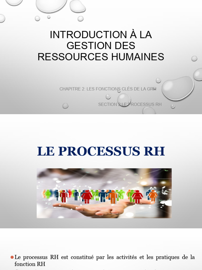 Gestion des Ressources Humaines : Processus RH | PDF | Gestion des ...