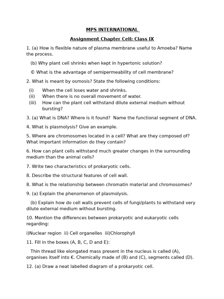 Class IX Worksheet 2 | PDF