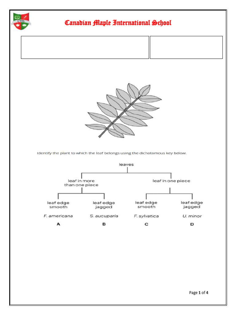 Grade 5 Biology Quiz on Species and Life | PDF | Species | Reproduction