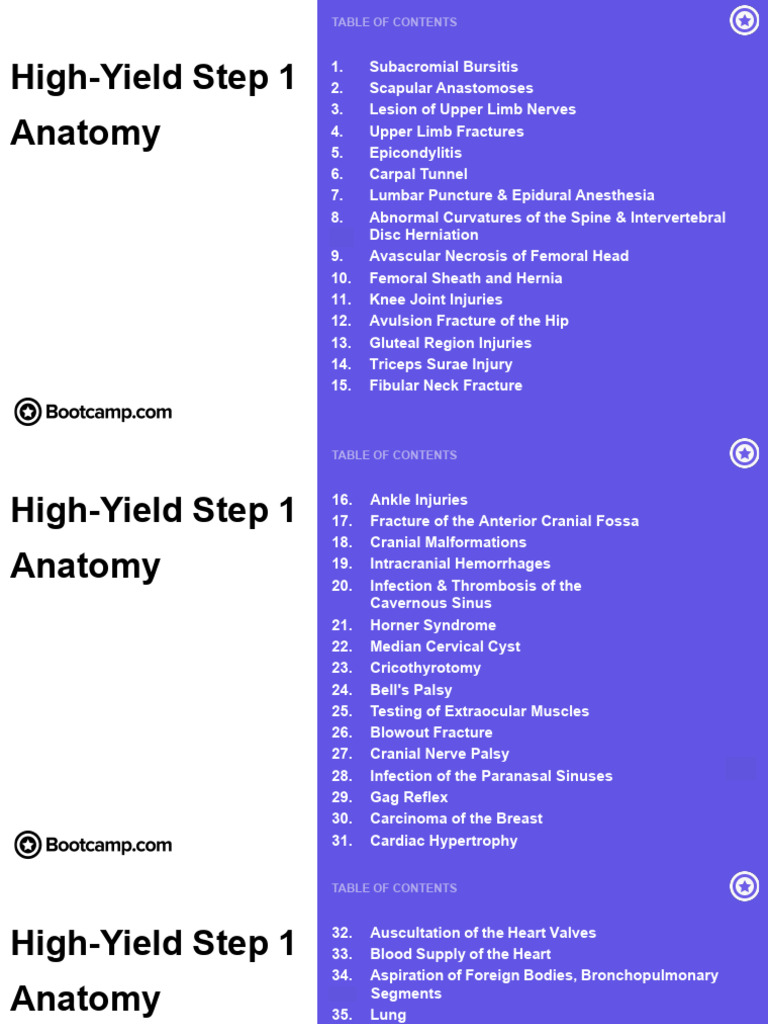 High-Yield Step 1 Anatomy | PDF | Knee | Vertebral Column