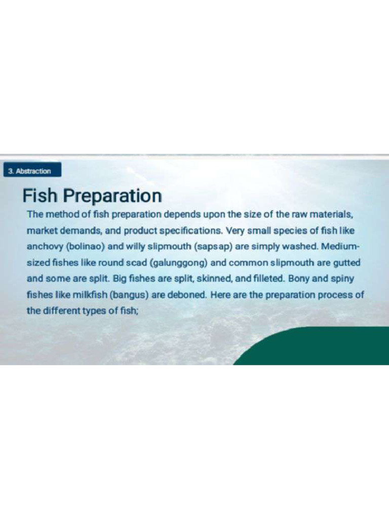 Fish Preparation | PDF