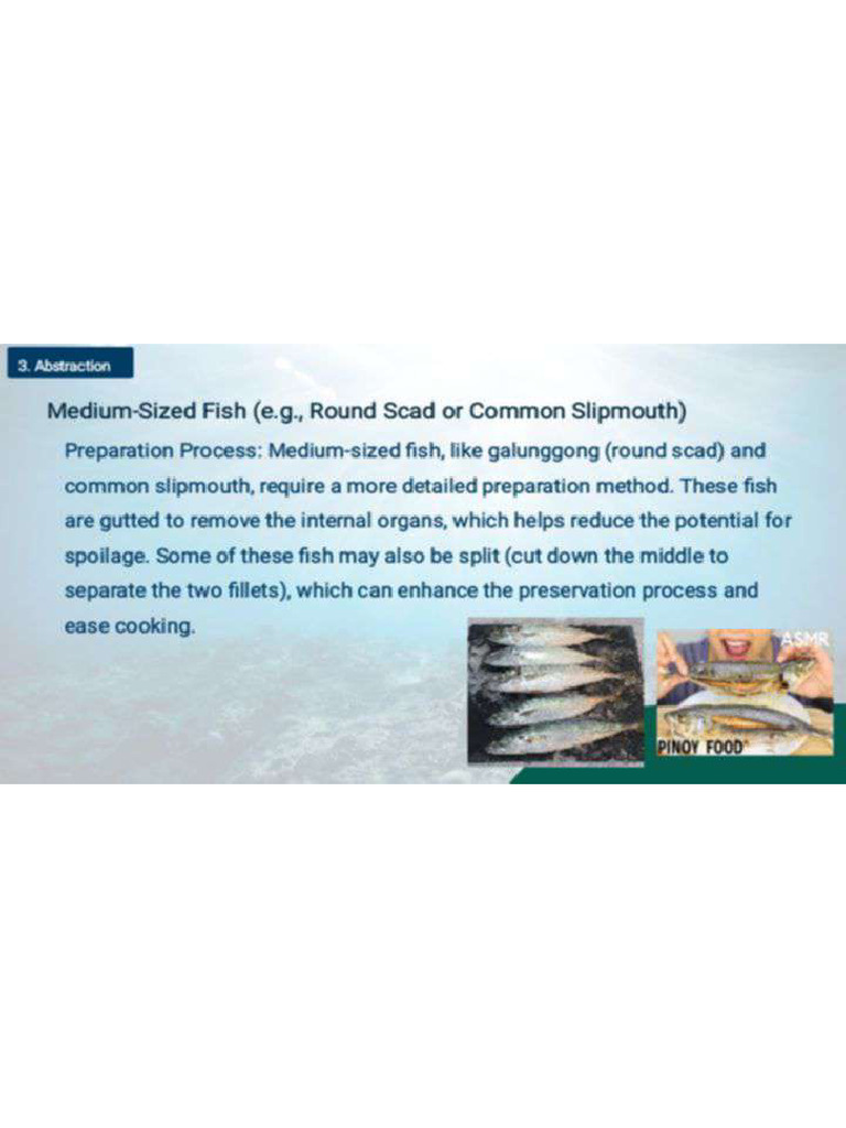 Small Fish Specifications | PDF