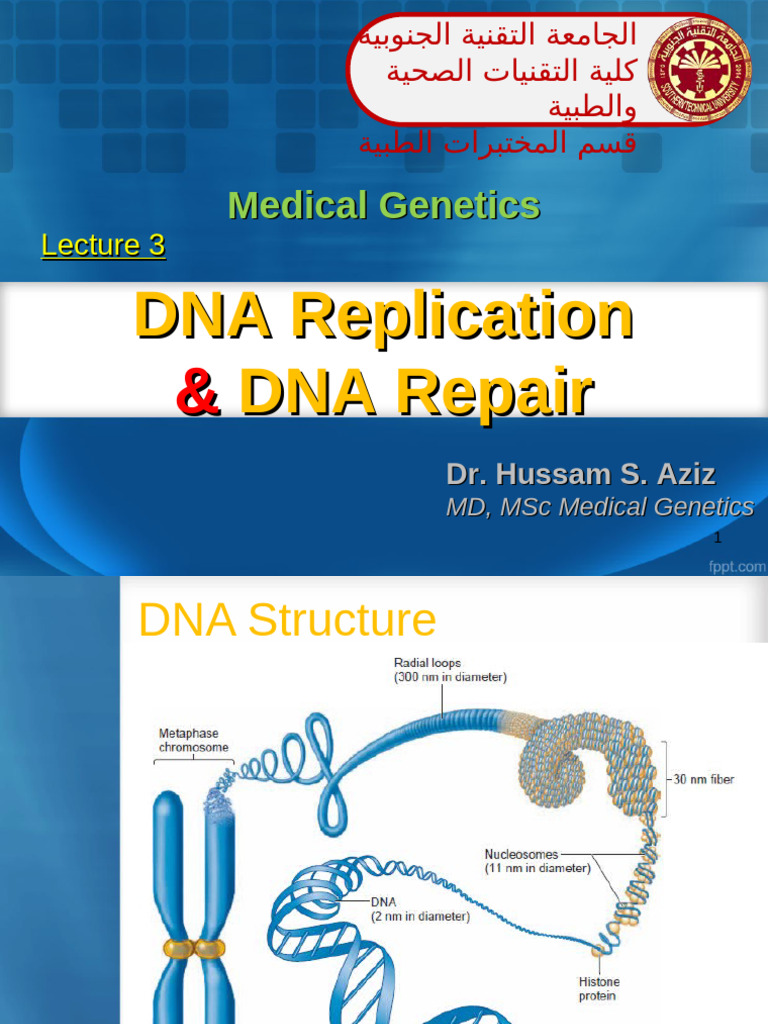 Lecture 03 DNA Replication | PDF | Dna Replication | Mutagenesis