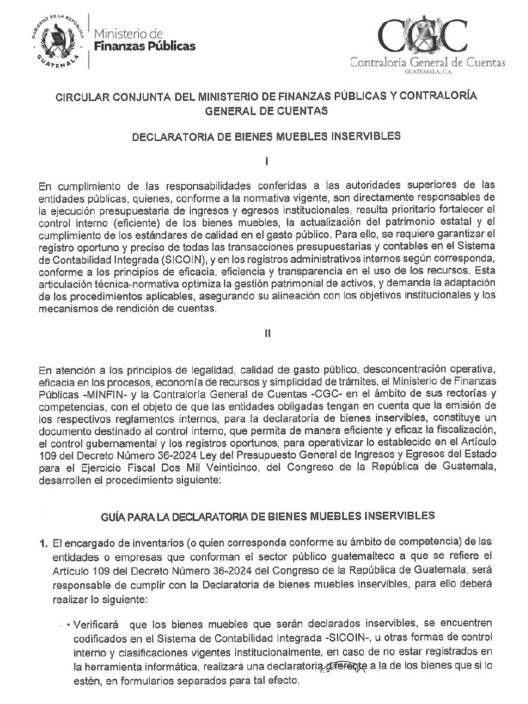 Circular-Conjunta-del-minfin-y-cgc BAJA DE BIENES 2025 | PDF