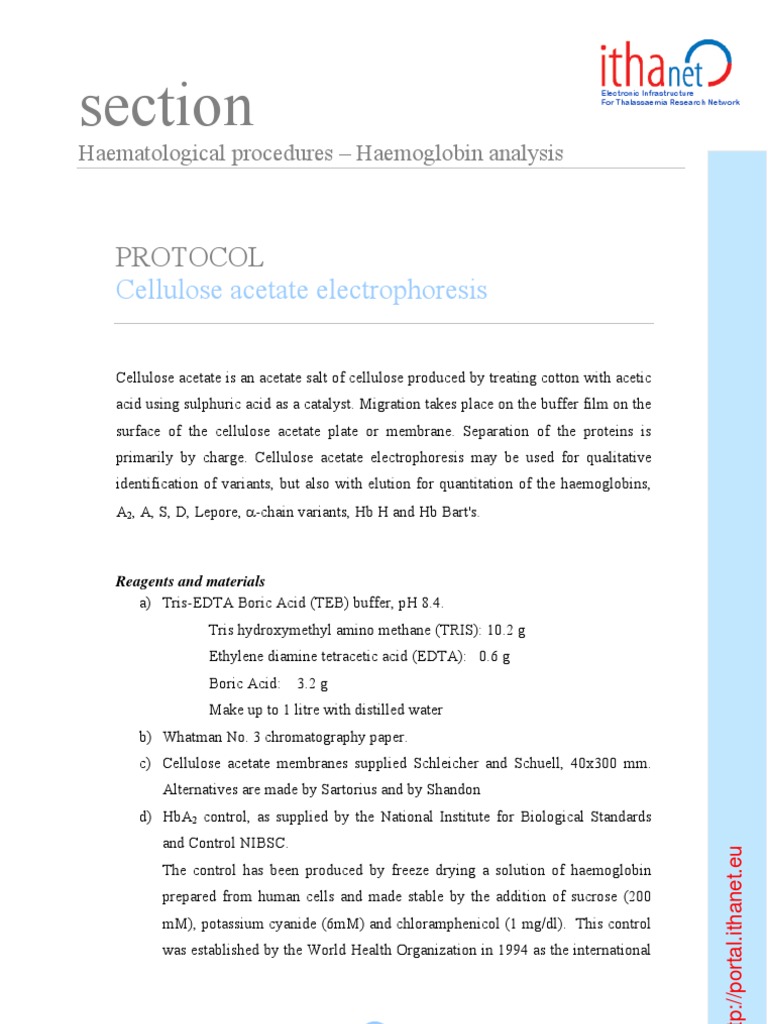 16 Cellulose Acetate Electrophoresis | PDF | Hemoglobin | Acetic Acid