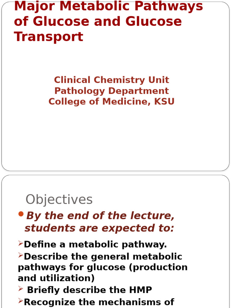 12 - Major Metabolic Pathways of Glucose | PDF | Metabolic Pathway ...