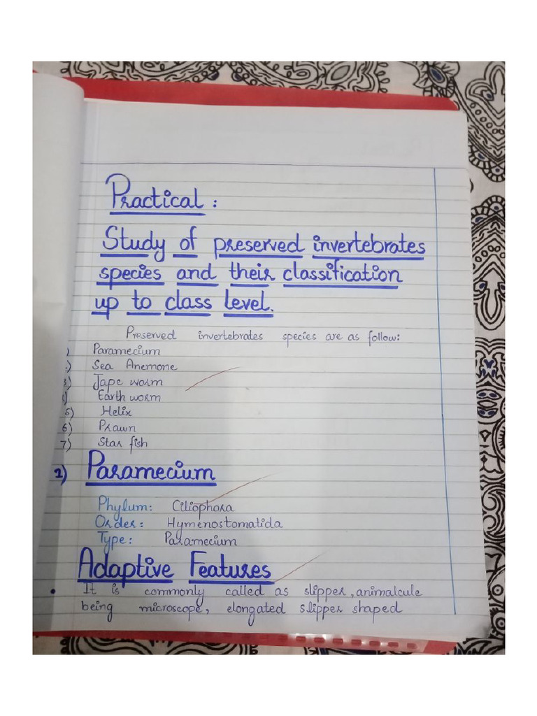 Systematics and Evolution Practicals | PDF