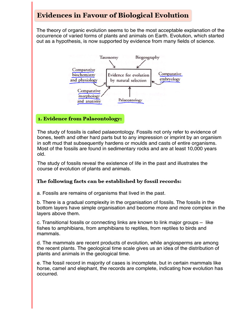 Biological Evolution Note | PDF | Fossil | Embryo