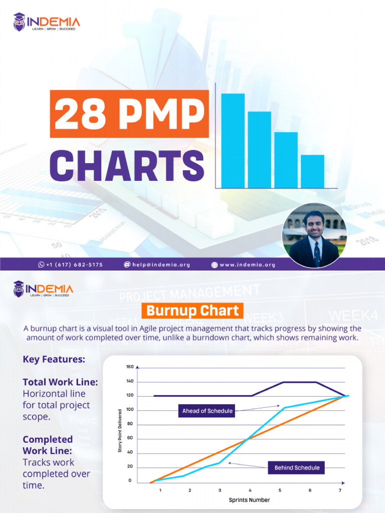 28 Charts On PMP | PDF