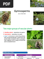 Gymnosperm Reproductive Structures | PDF | Seed | Biological Interactions