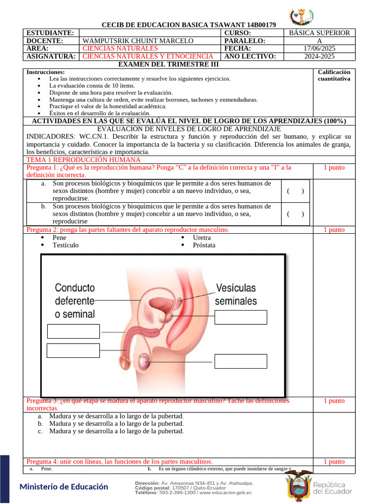 Examen CCNN Bs | PDF | Semen | Sistema reproductivo