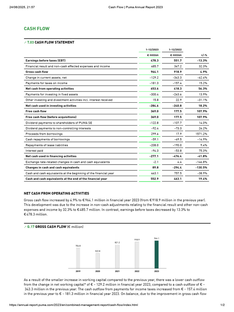 Cash Flow - Puma Annual Report 2023 | PDF | Free Cash Flow | Dividend
