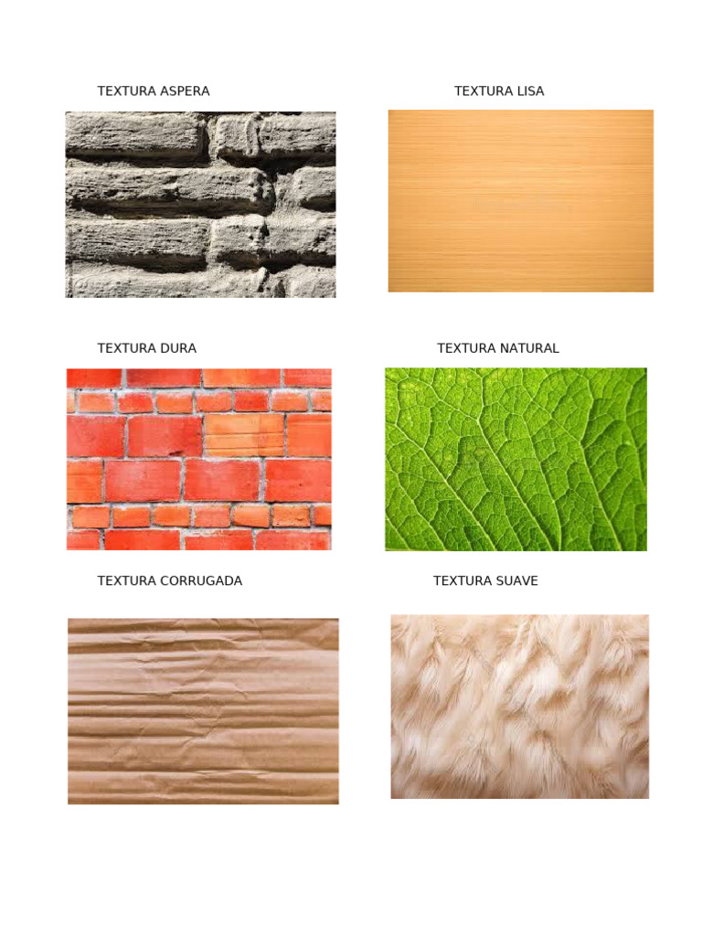 Tipos de Textura | PDF