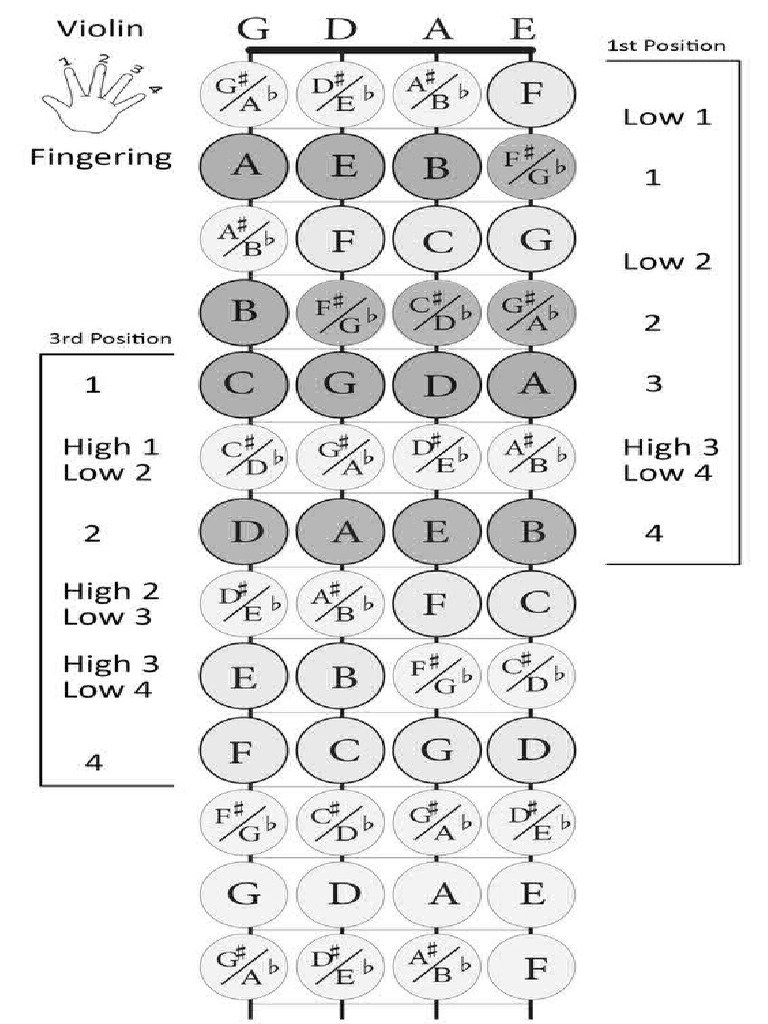 Violin Chart | PDF