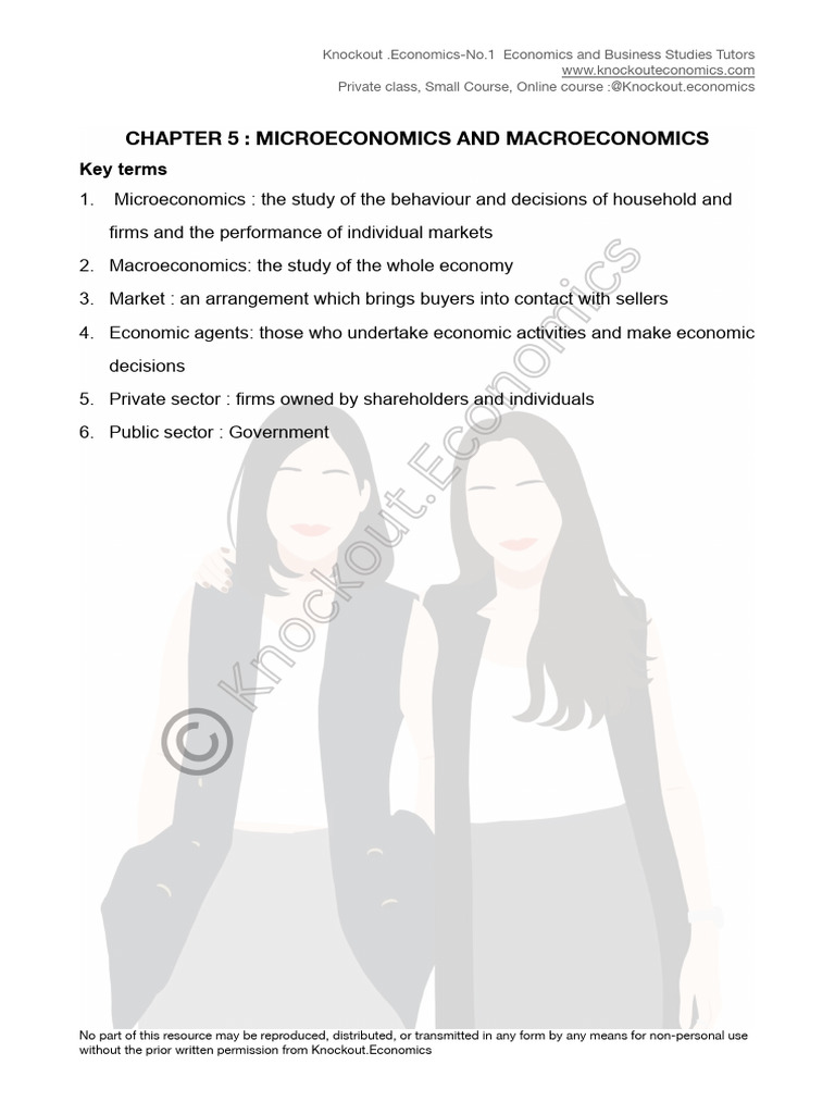 Economic Agents in Micro and Macro | PDF