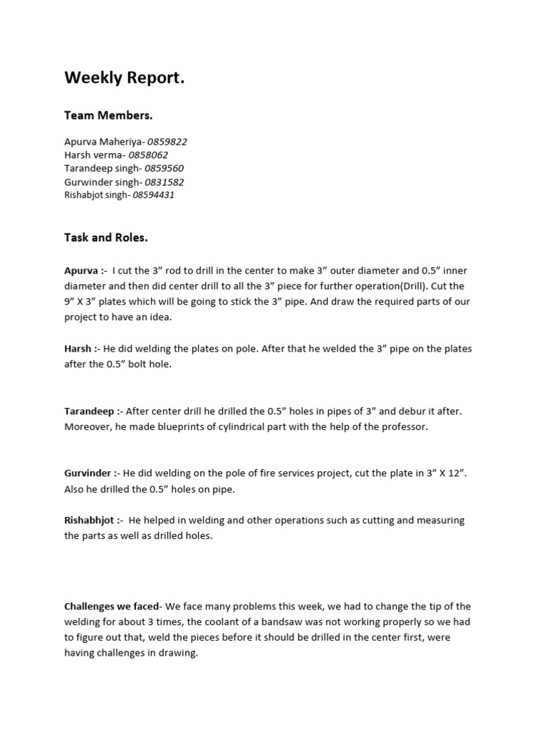 Weekly Team Project Progress Report | PDF