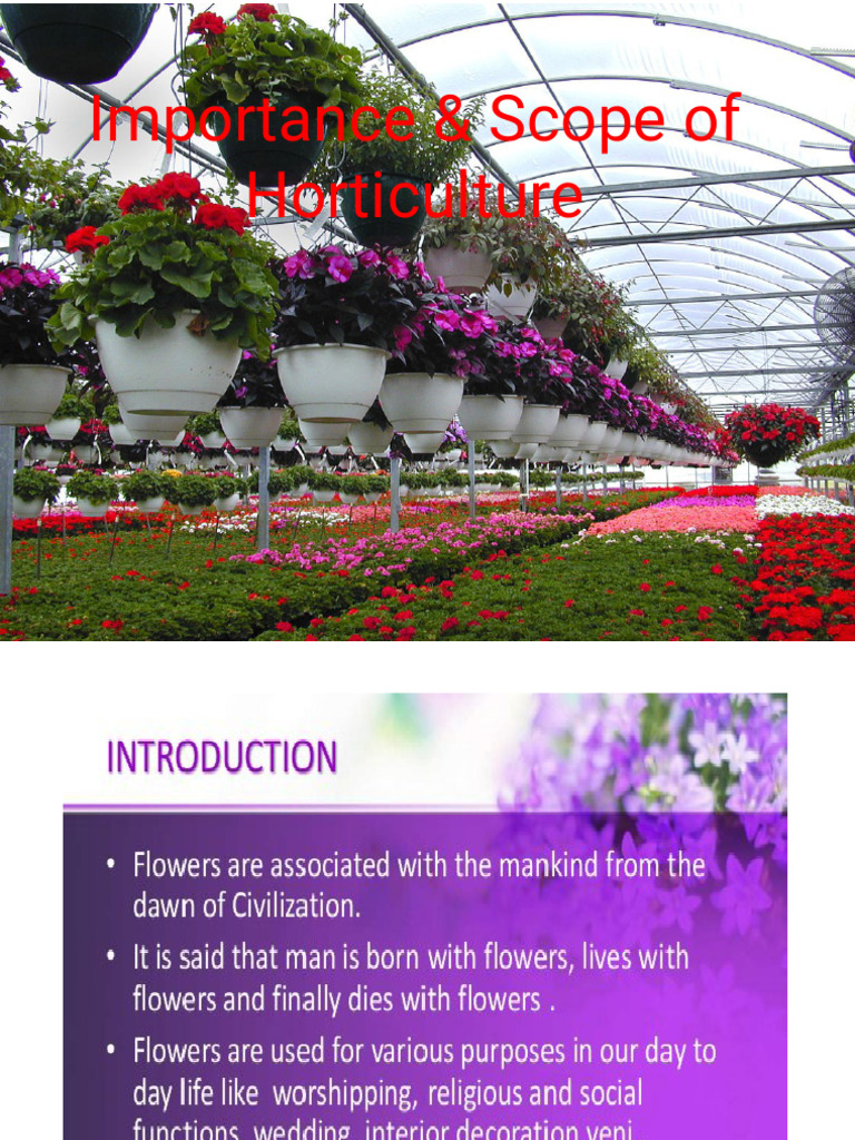 Importance of Gardening Principles | PDF