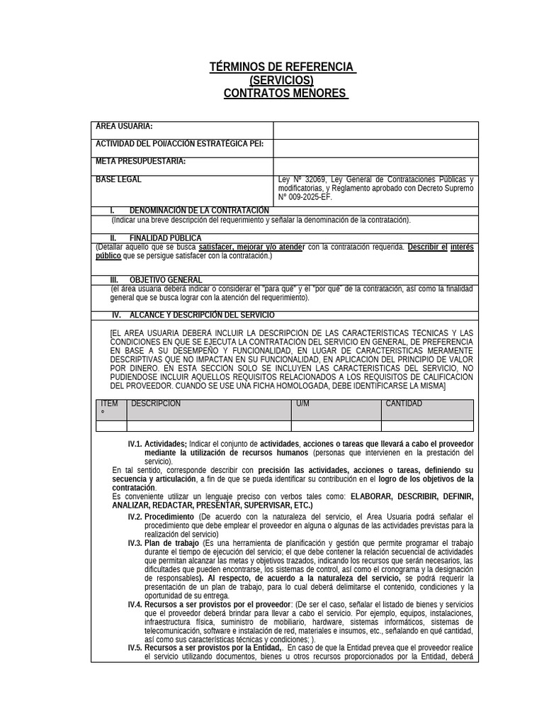 TDR - Servicios Contratos Menores Final | PDF | Software | Lenguaje de programación