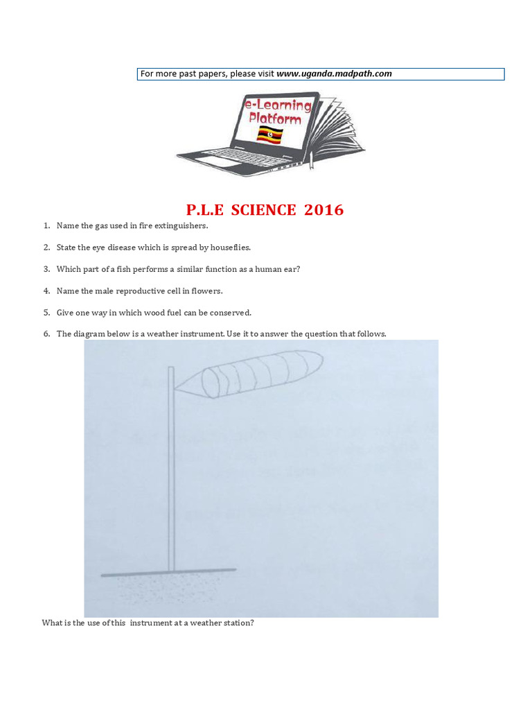 2016 PLE Science Past Paper | PDF | Plants