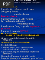 Tatarcik | PDF