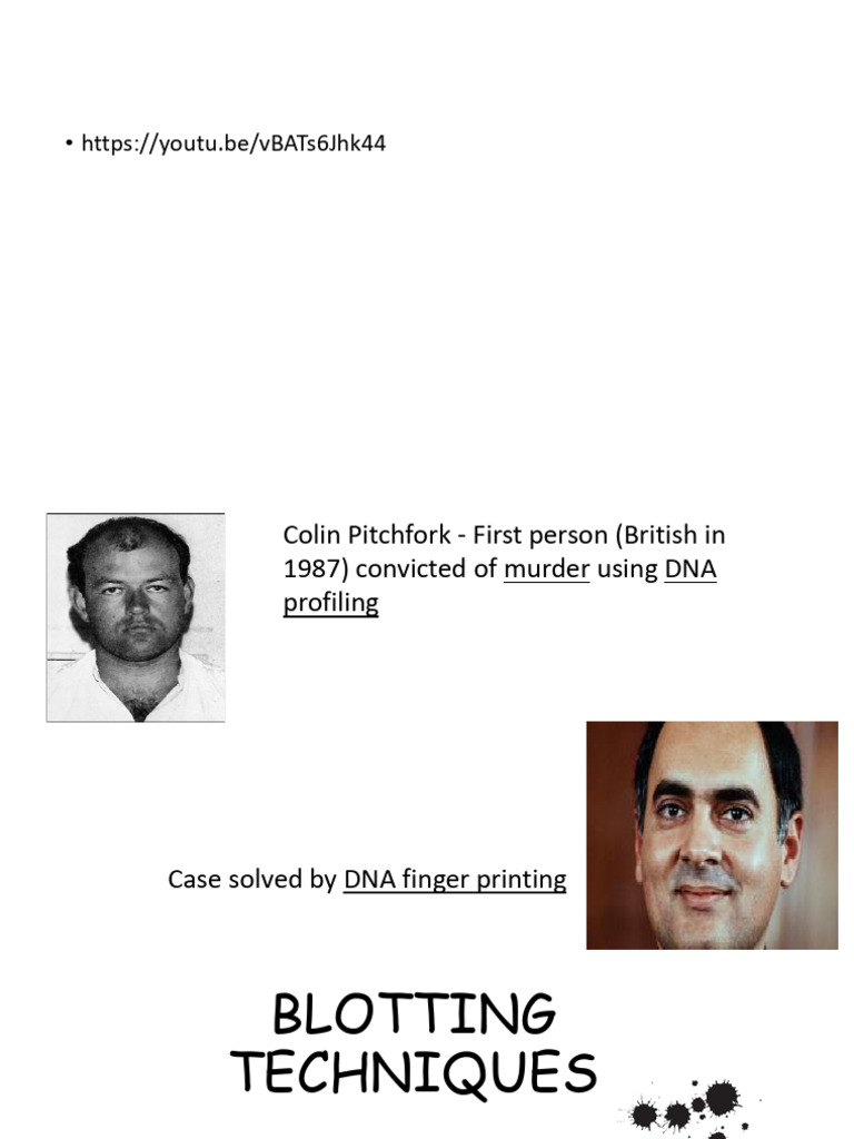 BC 10.7 - Blotting Techniques | PDF | Blot (Biology) | Western Blot