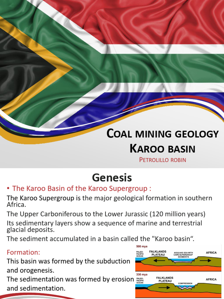 Petrolillo Robin Presentation | PDF