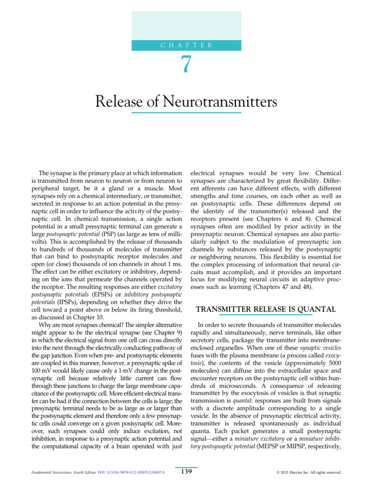 Chapter 7 Release of Neurotransmitters 2013 Fundamental Neuroscience | PDF | Chemical Synapse ...