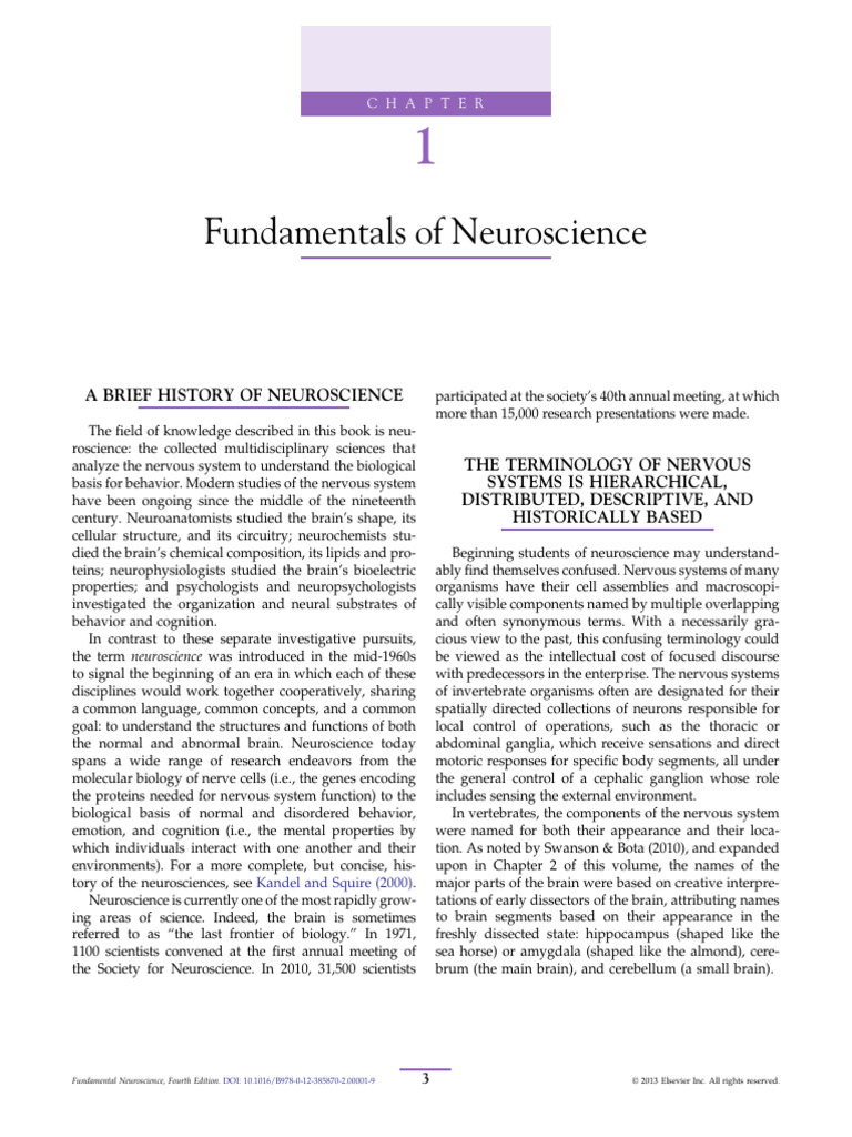 Chapter 1 Fundamentals of Neuroscience 2013 Fundamental Neuroscience ...
