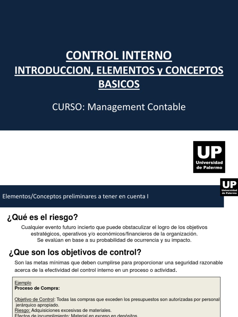 Esquema de Control Interno | PDF | Contabilidad | Business