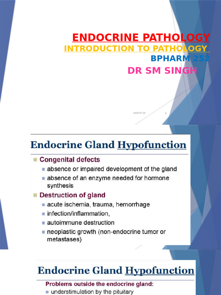 Endocrine | PDF