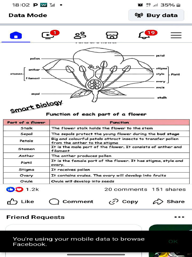 PDFReader 20250710 2246 | PDF