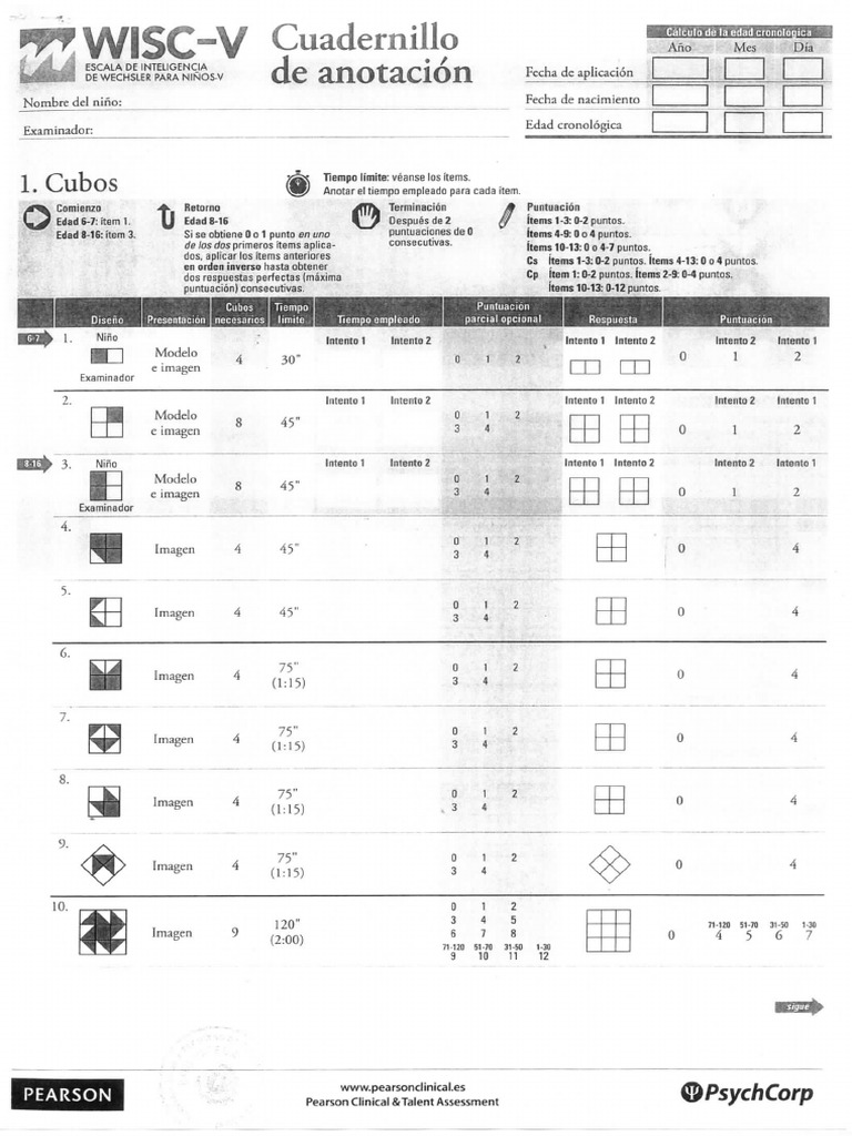 Wisc-V Cuadernillo Anotación 1 | PDF