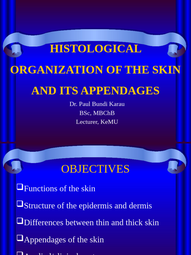 Skin Histology and Appendages Overview | PDF | Skin | Epidermis