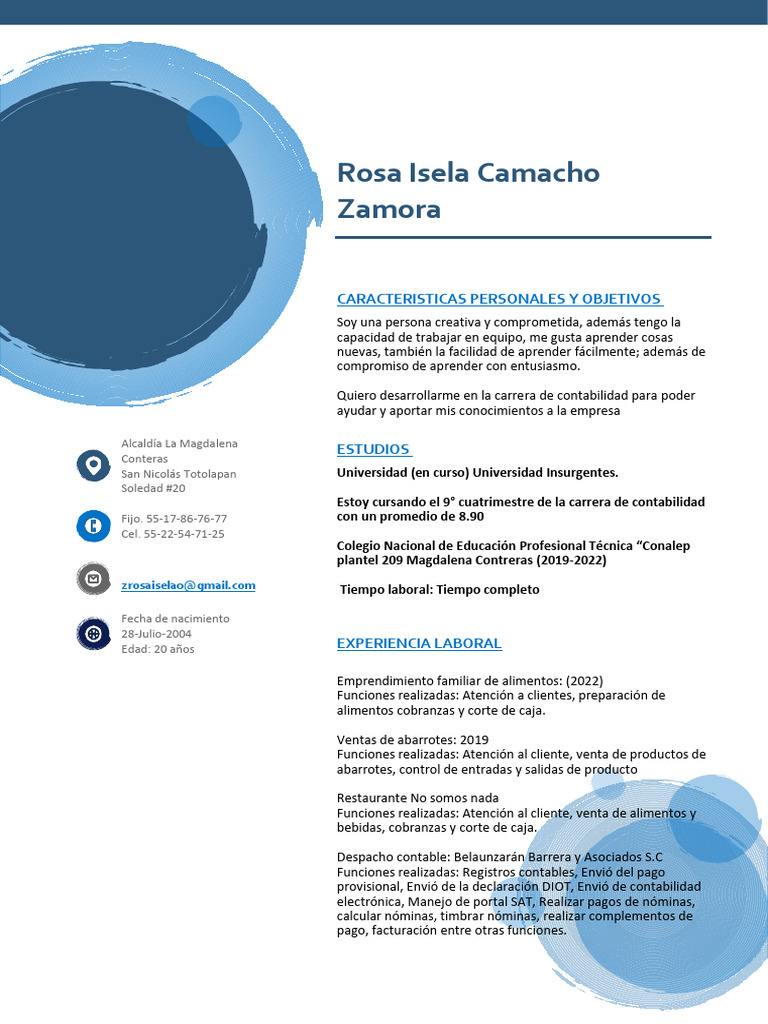 Isela Camacho CV | PDF | Business