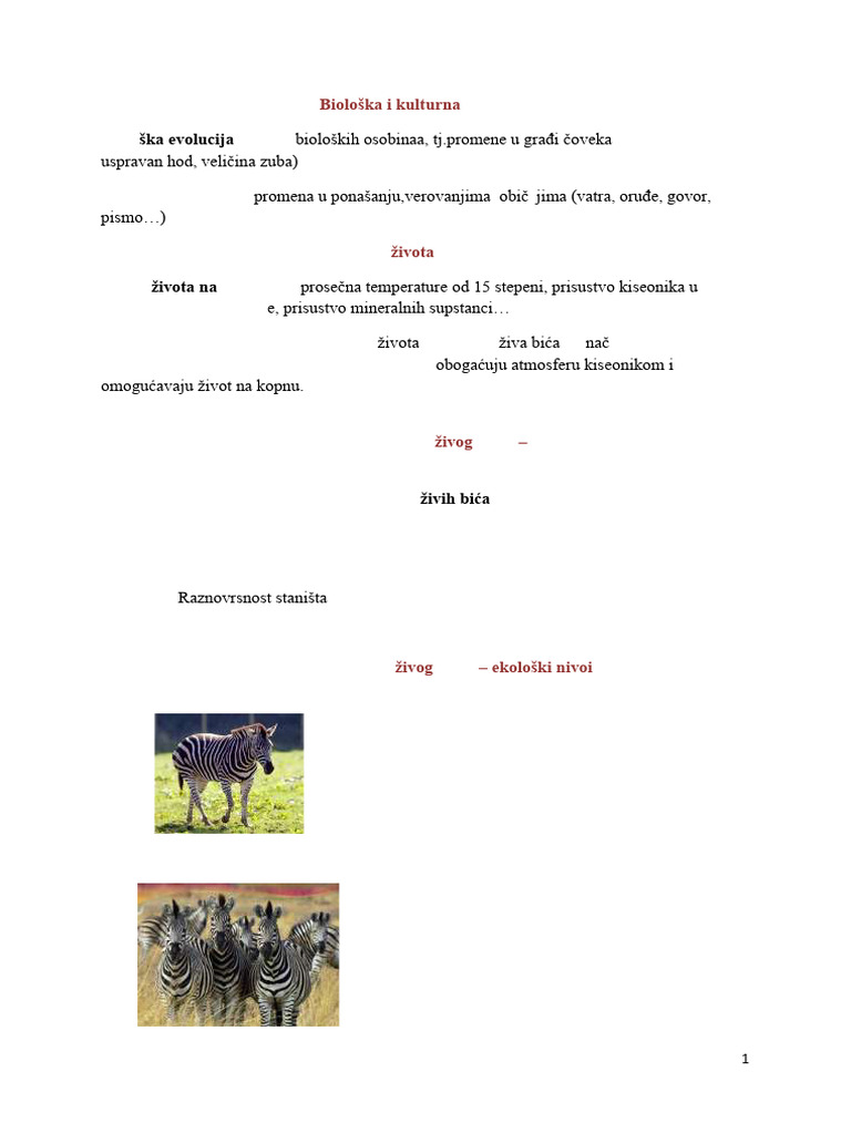 Biologija 6 Razred | PDF